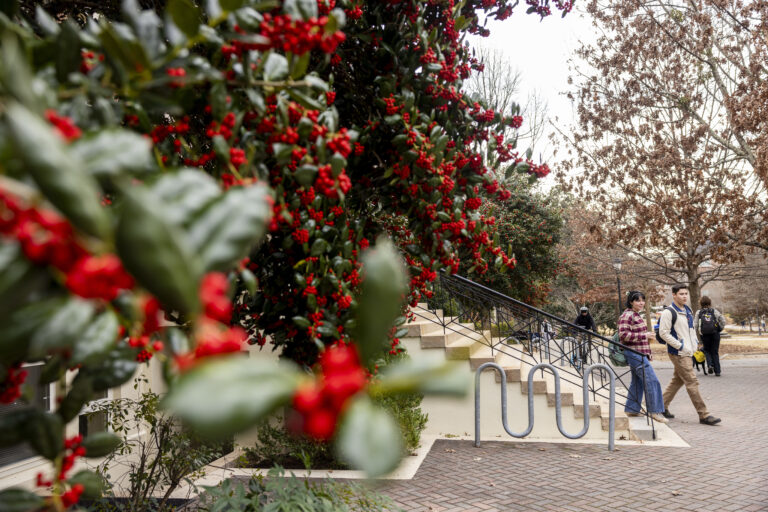Home - UGA Office of the President